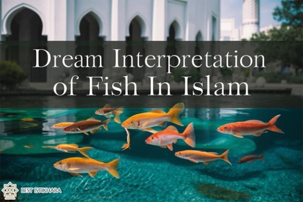 Seeing Fish in Dream Islam: What is the Interpretation? | Best Istikhara