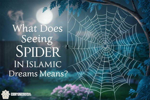 Islamic Dream Interpretation: What Seeing a Spider Means