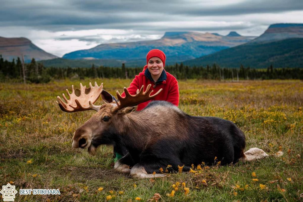 Is Moose Meat Halal for Muslims? A Guide | Best Istikhara