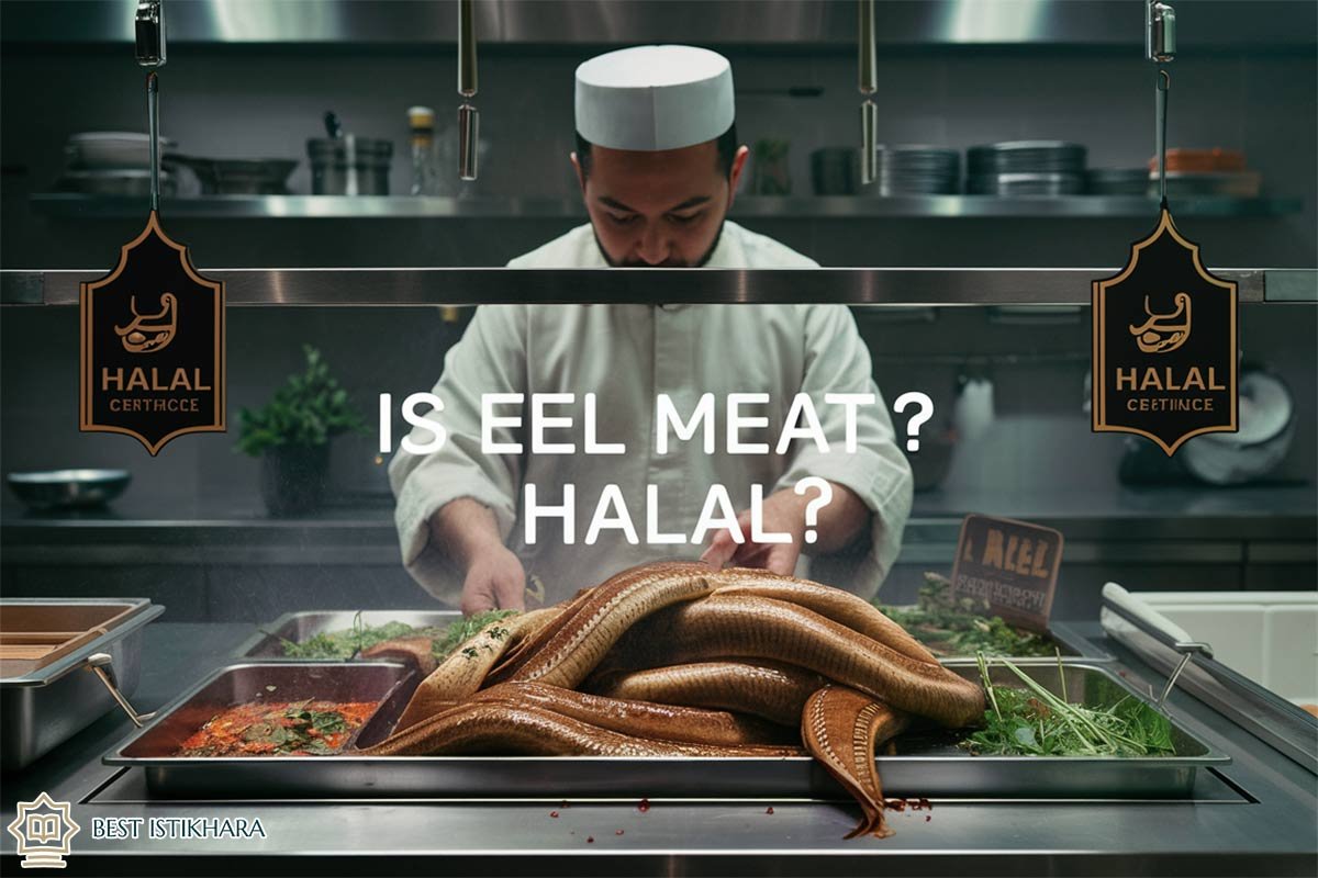 Is Eel Meat Halal in Islam? Discover the Answers | Best Istikhara