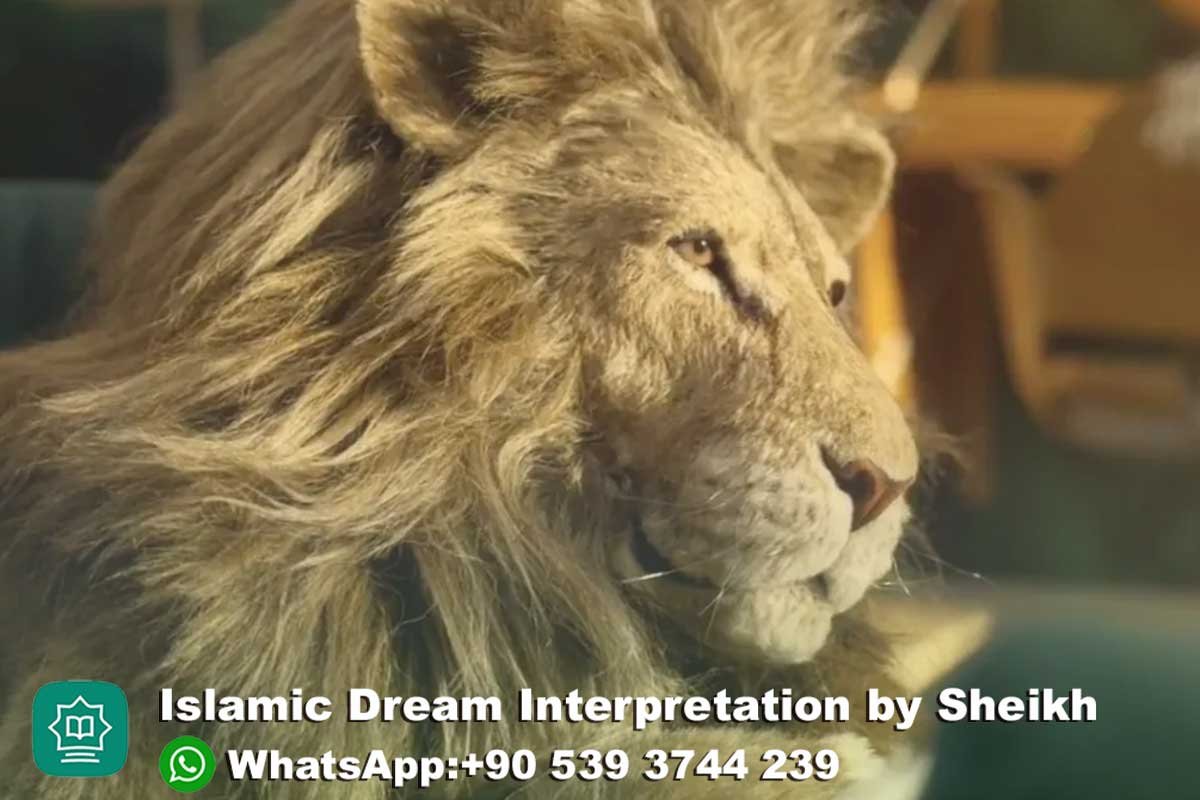 Dreaming of Friendly Lion in Islam | Best Istikhara