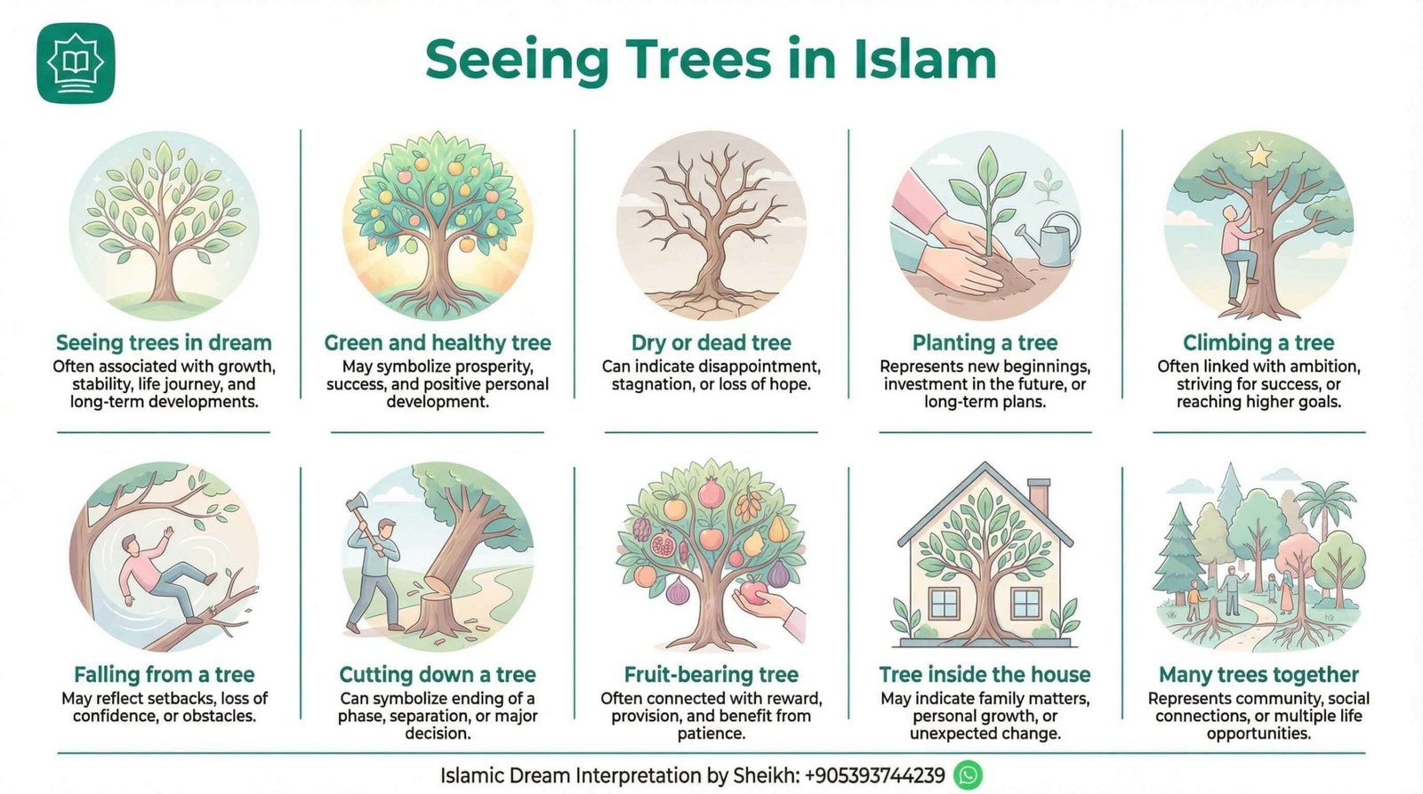 What Does It Mean to Dream About Trees in Islam? | Best Istikhara
