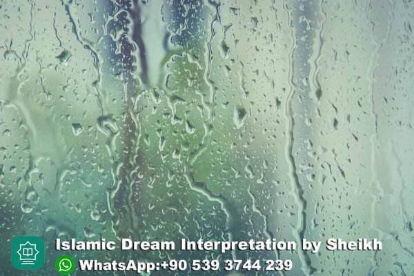 Meaning of Seeing Wet Dreams in Islam | Best Istikhara
