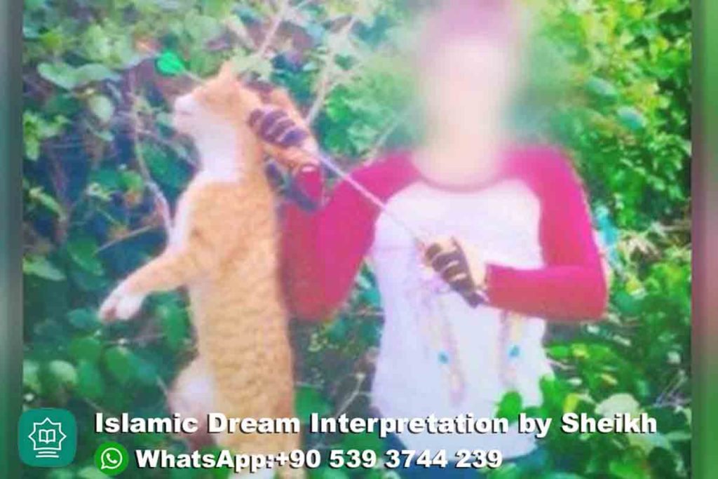 Dreaming of killing a cat in Islam | Best Istikhara