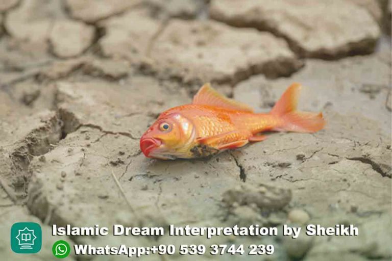 Seeing Fish out of Water in Islamic Dream - Best Istikhara