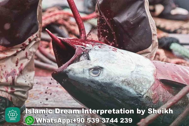Dreaming of Killing Fish in Islam | Best Istikhara