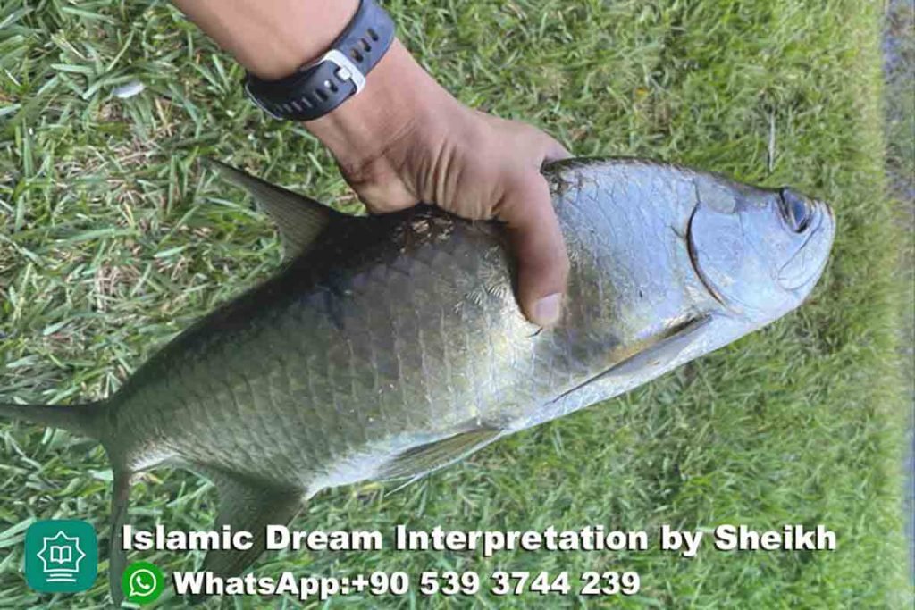 Dreaming of Giving Fish in Islam | Best Istikhara